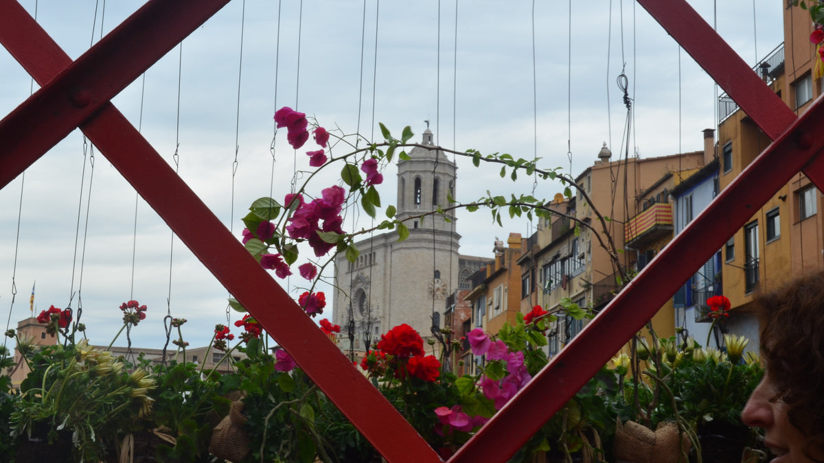 Mosca de Girona – AYUSO